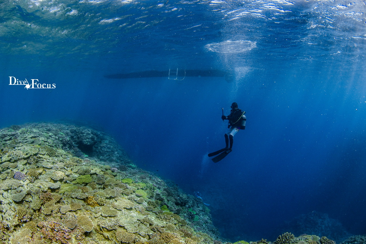 のんびり万座 – Dive Focus :: 沖縄でのダイビングならフォーカスへ