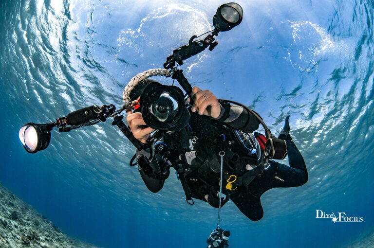 海ブログ – Dive Focus :: 沖縄でのダイビングならフォーカスへ