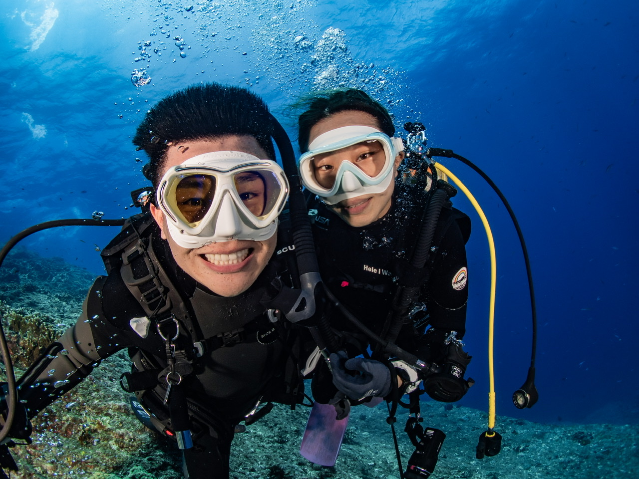 下曽根 魚影薄く惨敗 – Dive Focus :: 沖縄でのダイビングならフォーカスへ