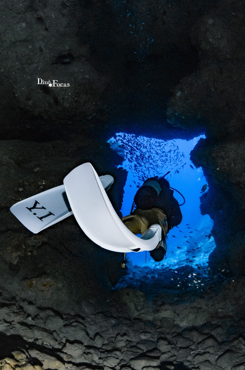 Dive Focus :: 沖縄でのダイビングならフォーカスへ – ベテランダイバーからビギナーダイバー、ブランクダイバー、まだダイビングをしたことがない方までもあなたのリクエストにフォーカス ...