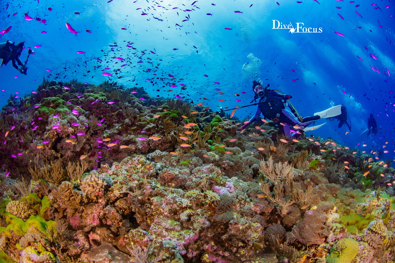 渡名喜遠征へ – Dive Focus :: 沖縄でのダイビングならフォーカスへ