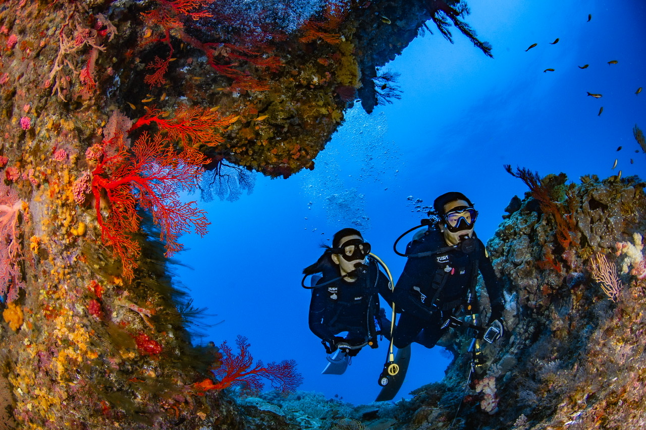 凪の慶良間オールドリフト – Dive Focus :: 沖縄でのダイビングならフォーカスへ