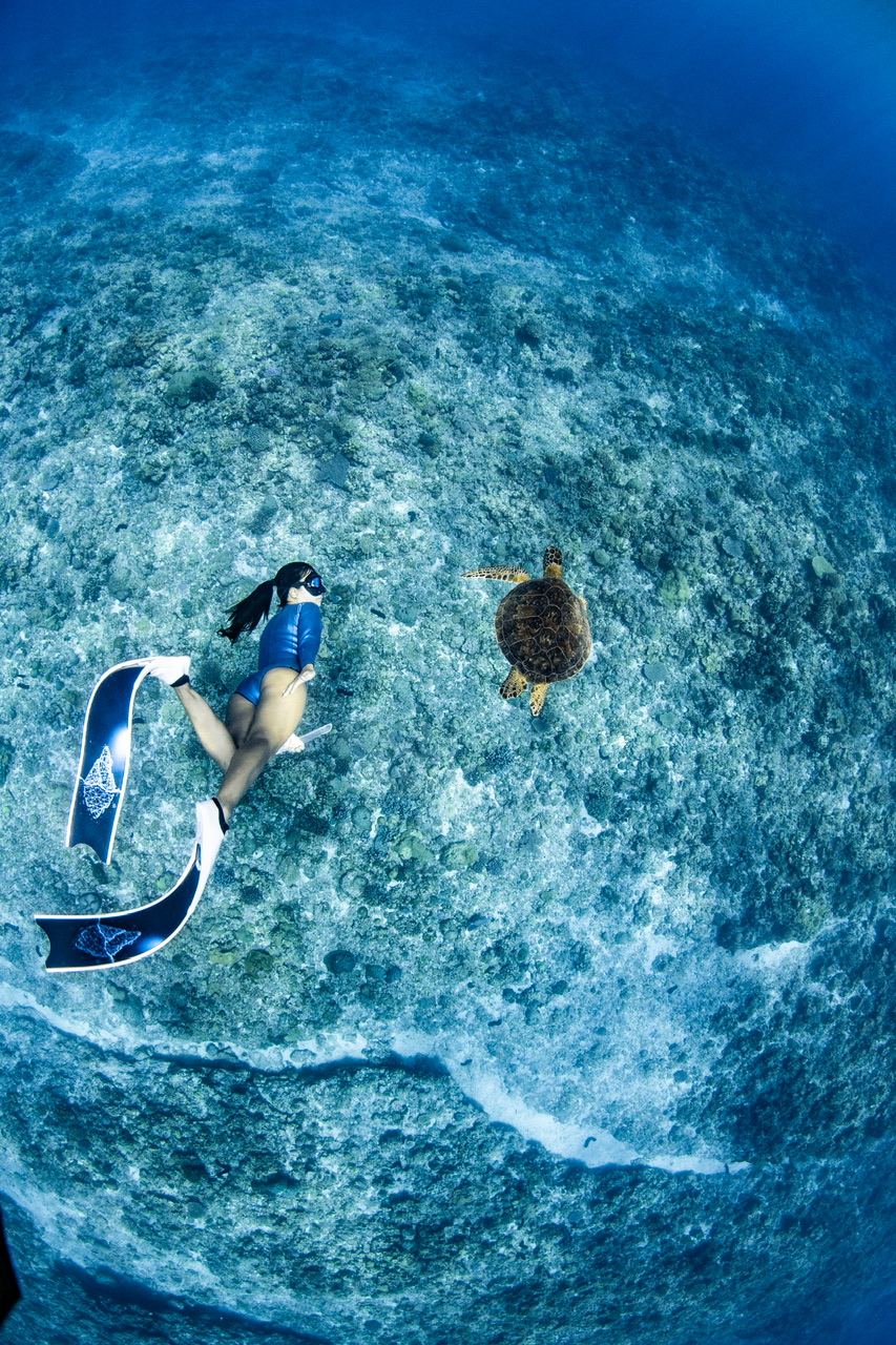 慶良間 スキンダイビング – Dive Focus :: 沖縄でのダイビングならフォーカスへ