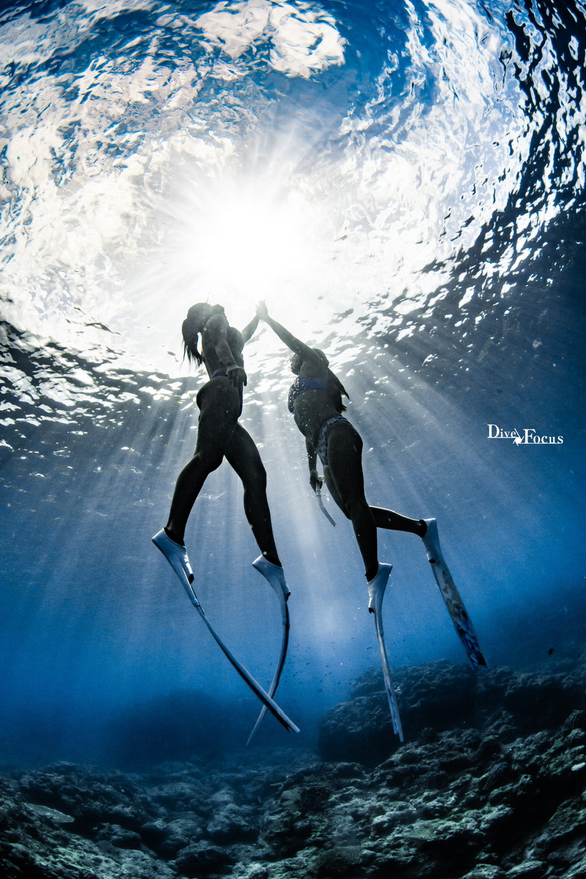 慶良間 スキンダイビング&FUN – Dive Focus :: 沖縄でのダイビングならフォーカスへ