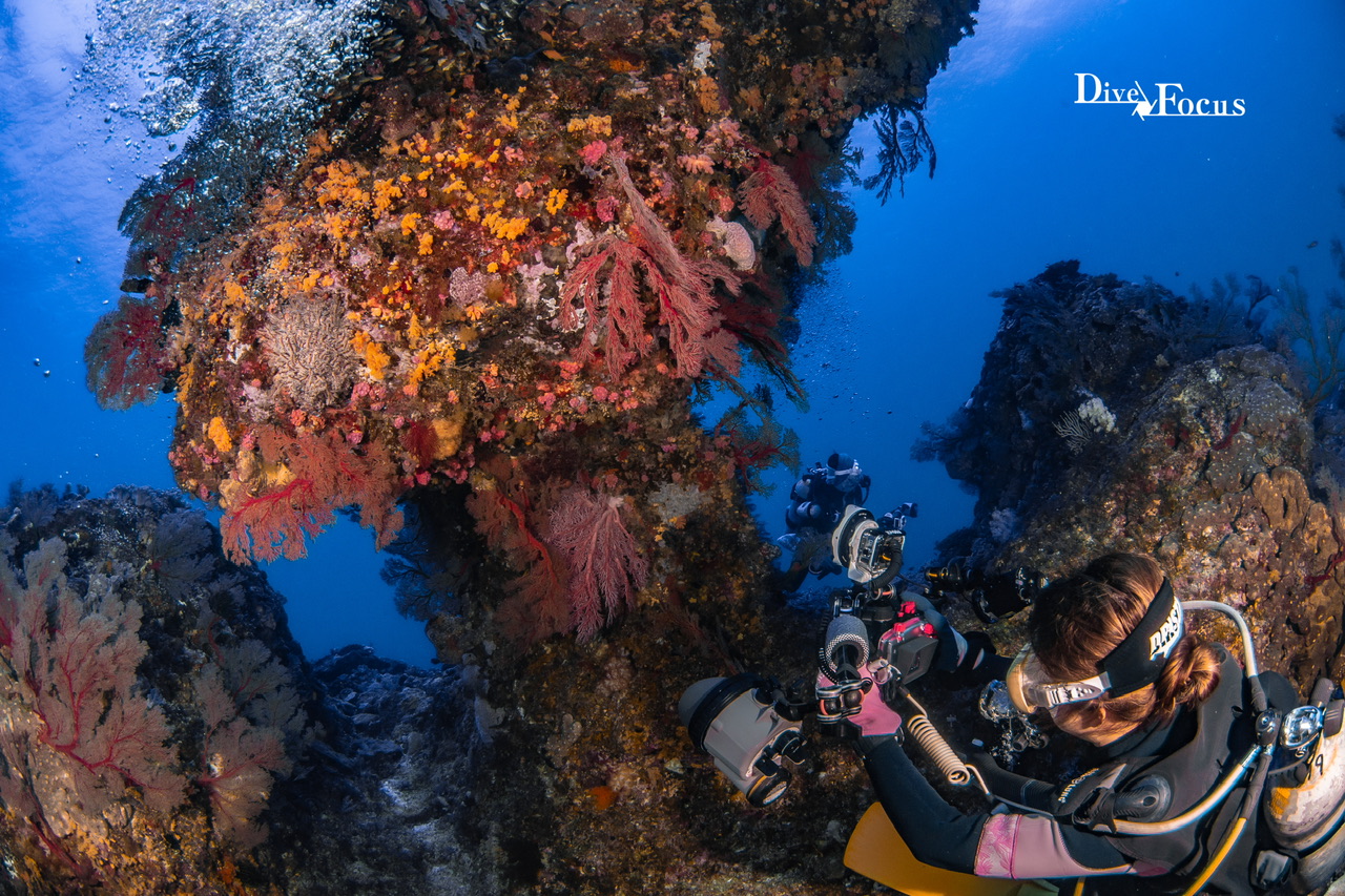 諦めたらダメだ… – Dive Focus :: 沖縄でのダイビングならフォーカスへ
