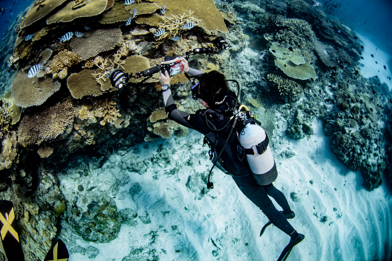着後チービシ 北側へ – Dive Focus :: 沖縄でのダイビングならフォーカスへ