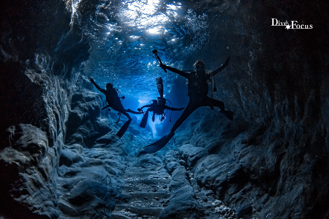 今日も狙ってきました – Dive Focus :: 沖縄でのダイビングならフォーカスへ