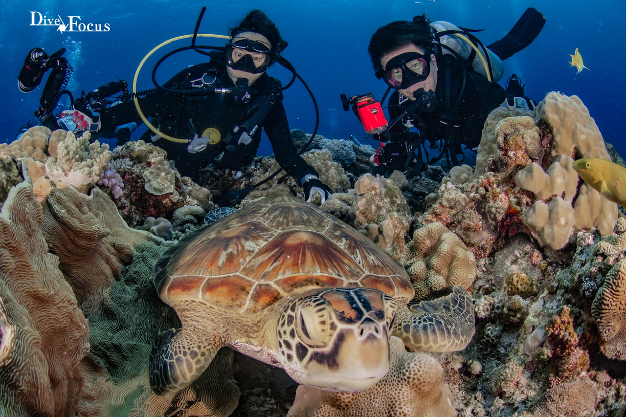 ご新規様と着後チービシへ – Dive Focus :: 沖縄でのダイビングならフォーカスへ