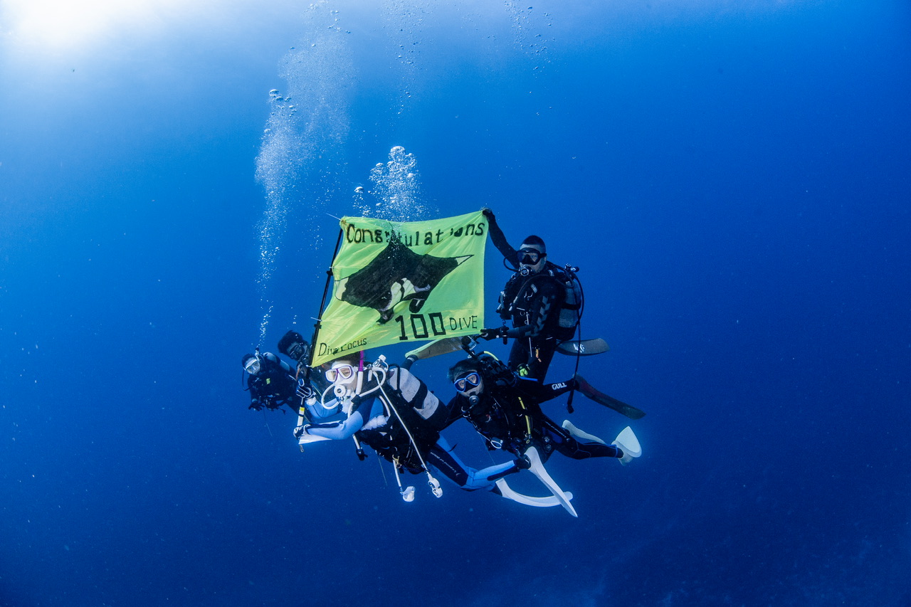 潜り納め2023 – Dive Focus :: 沖縄でのダイビングならフォーカスへ