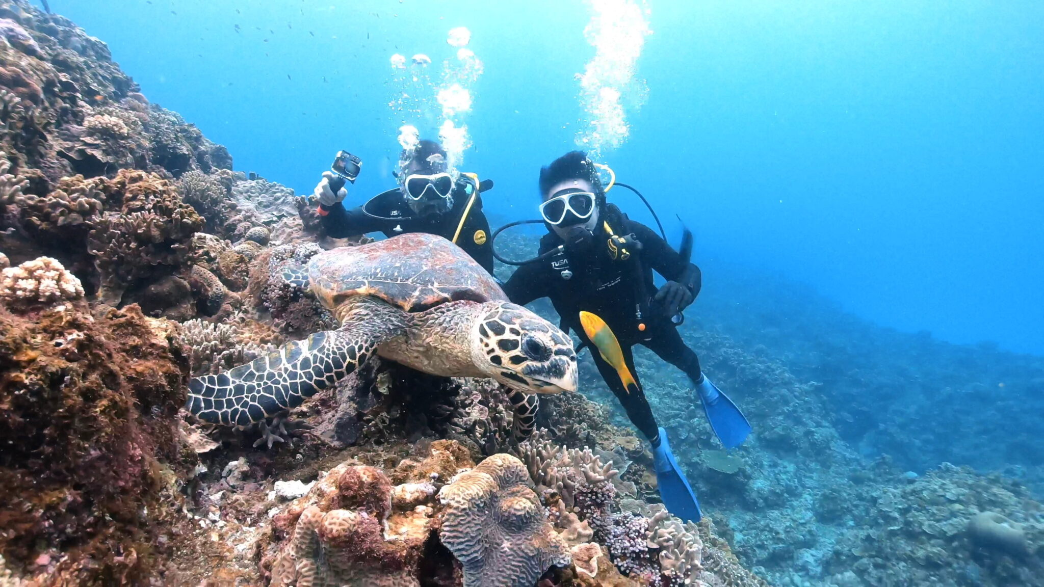 のんびり慶良間へ – Dive Focus :: 沖縄でのダイビングならフォーカスへ