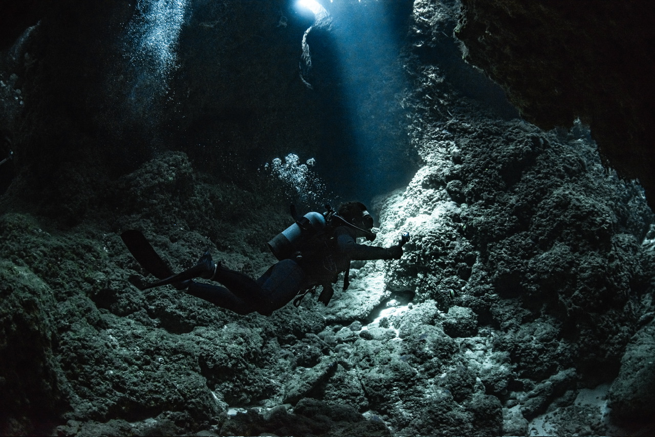 慶良間 OW講習後にマンタ降臨！ – Dive Focus :: 沖縄でのダイビングならフォーカスへ