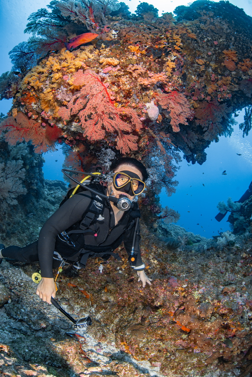 慶良間で体験とファンでのんびり – Dive Focus :: 沖縄でのダイビングならフォーカスへ