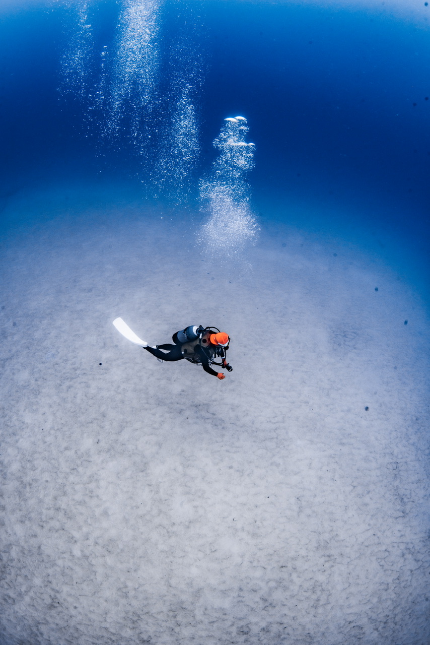 万座 リクエストの写真撮影 – Dive Focus :: 沖縄でのダイビングならフォーカスへ