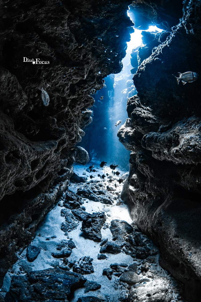 PADIオープンウォーターライセンス講習2日目 慶良間ブルー堪能 – Dive Focus :: 沖縄でのダイビングならフォーカスへ