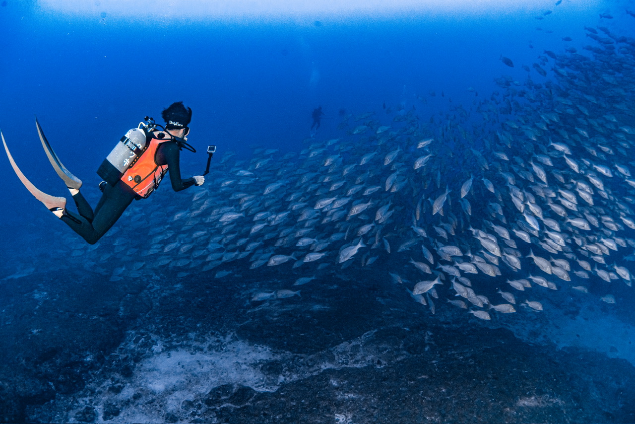 GW6日目 リピーター様とトライアングル – Dive Focus :: 沖縄でのダイビングならフォーカスへ