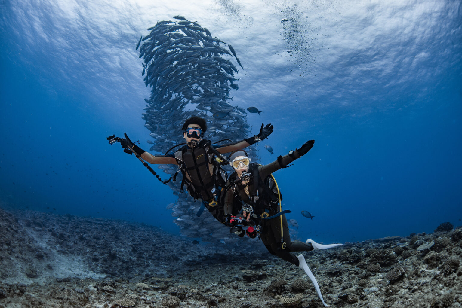 海ブログ – Dive Focus :: 沖縄でのダイビングならフォーカスへ