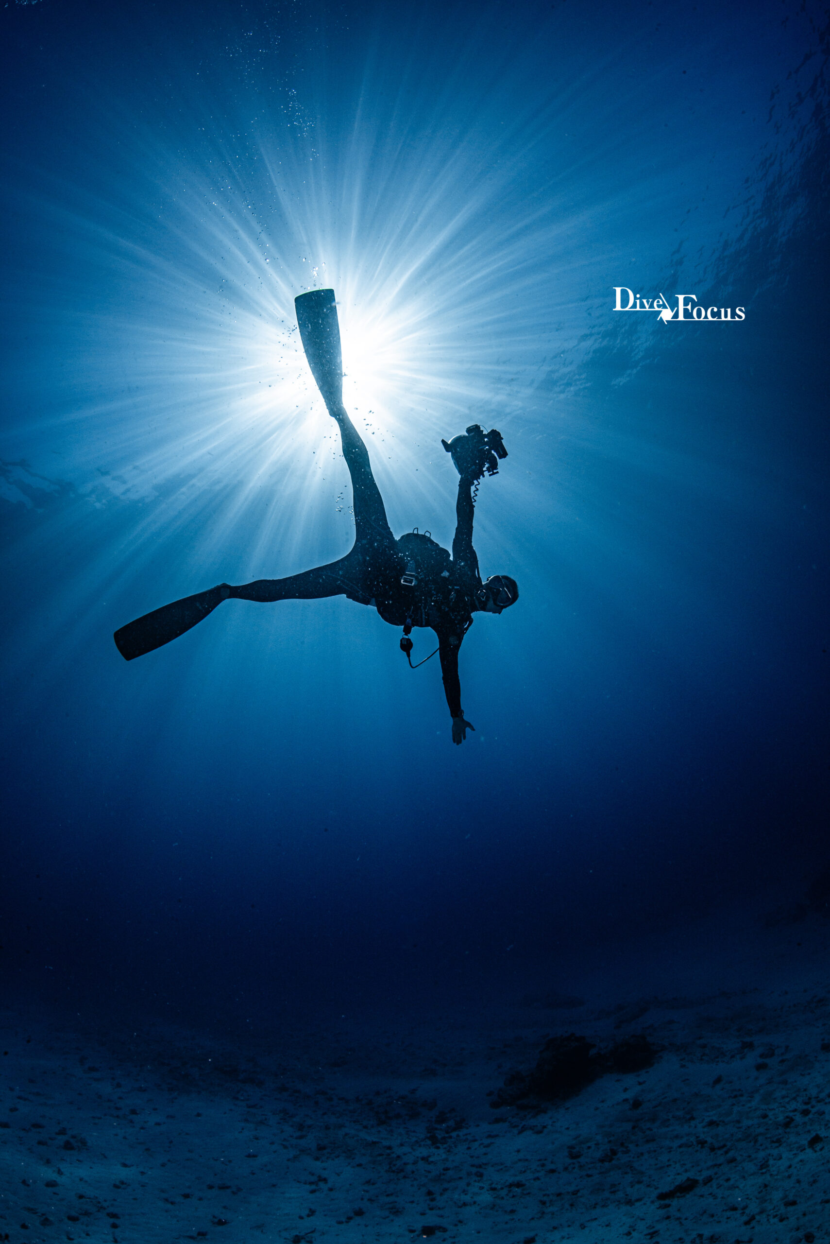 慶良間外洋 大潮恐るべし – Dive Focus :: 沖縄でのダイビングならフォーカスへ