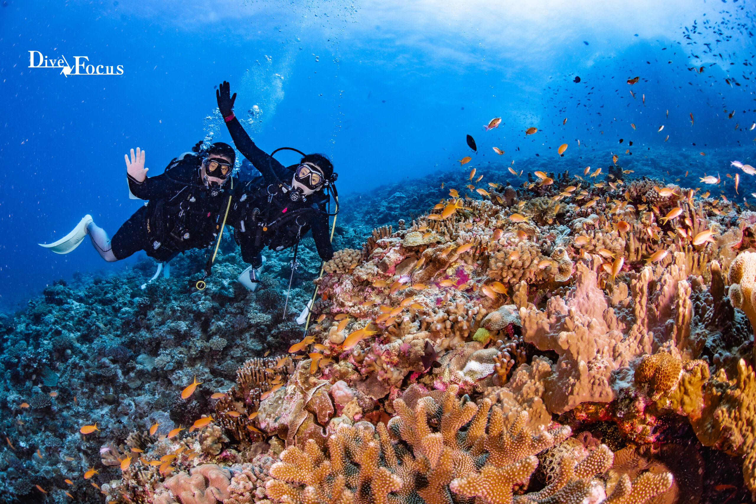 のんびり慶良間でスキルアップ！ – Dive Focus :: 沖縄でのダイビングならフォーカスへ