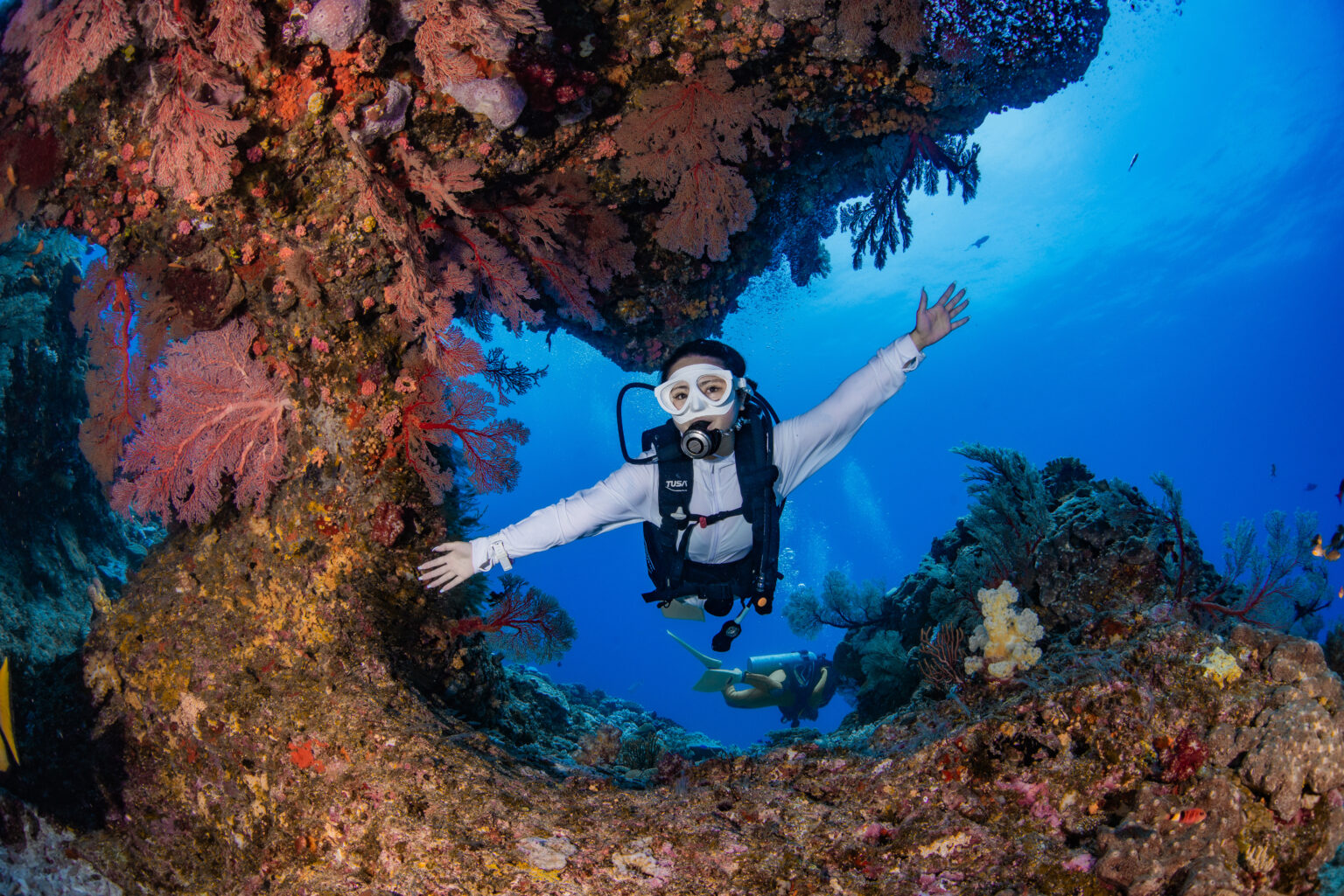 慶良間でマンタシフト – Dive Focus :: 沖縄でのダイビングならフォーカスへ