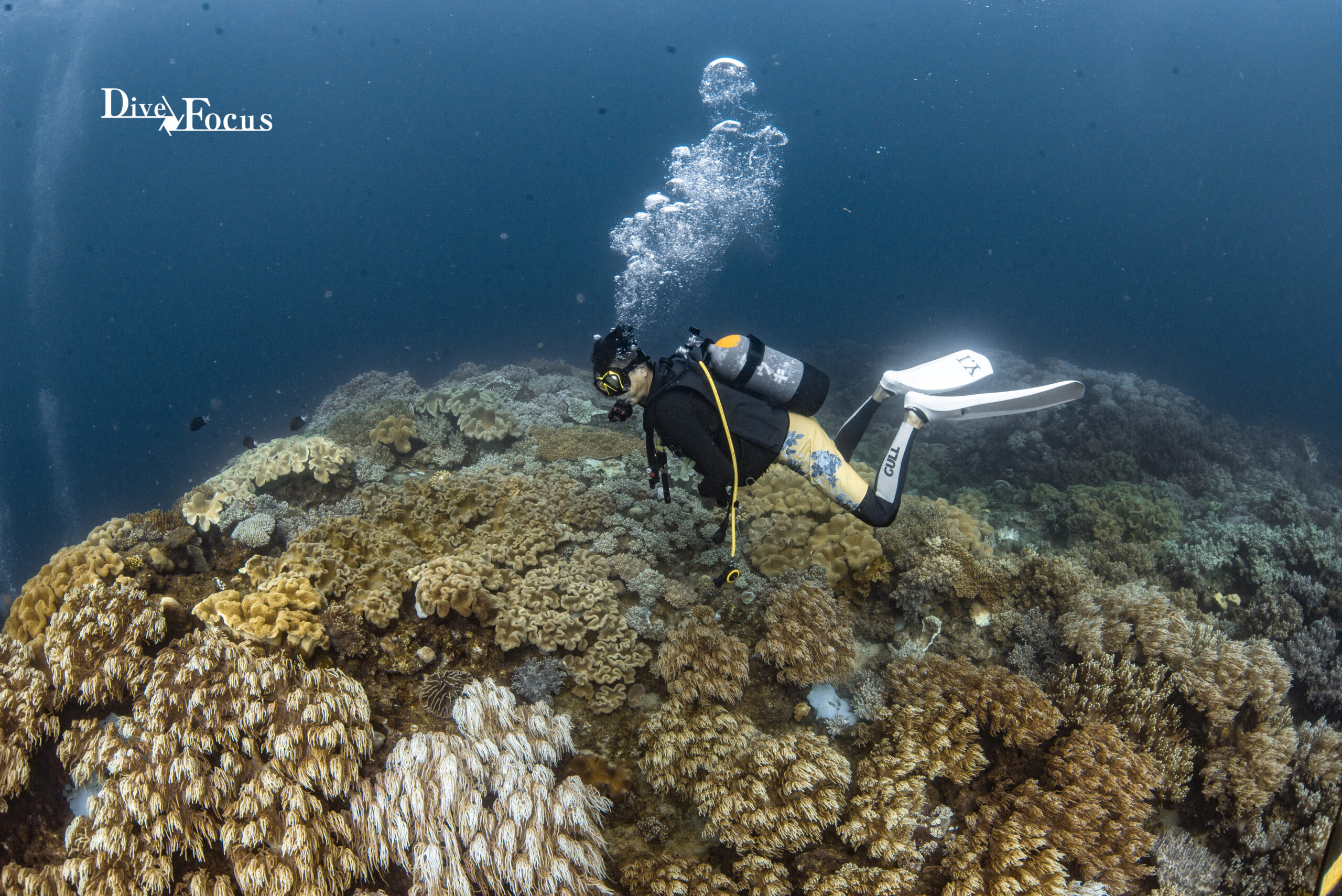 台風発生も砂辺へ 引退式 – Dive Focus :: 沖縄でのダイビングならフォーカスへ