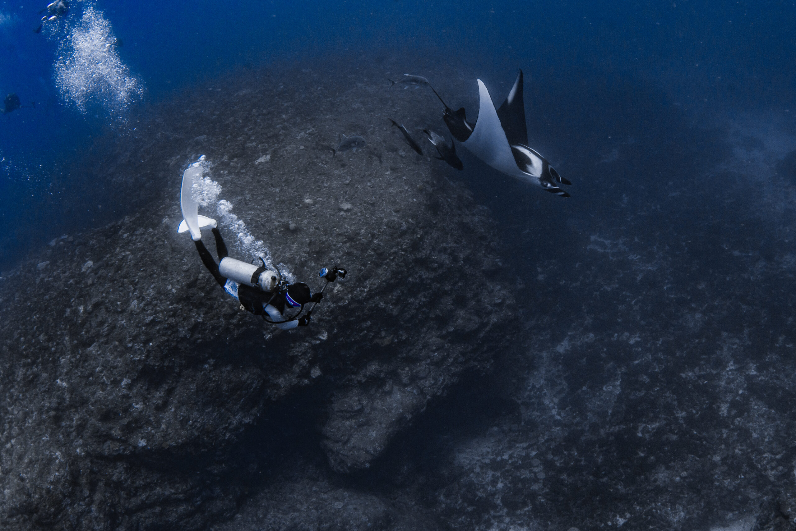 下曽根 ジャイアントマンタ出た！ – Dive Focus :: 沖縄でのダイビングならフォーカスへ