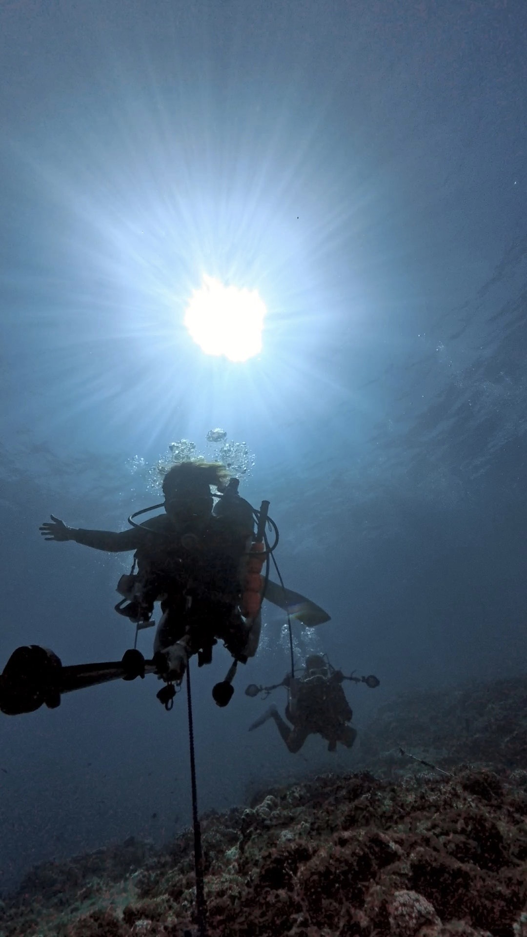 下曽根3ダイブ – Dive Focus :: 沖縄でのダイビングならフォーカスへ