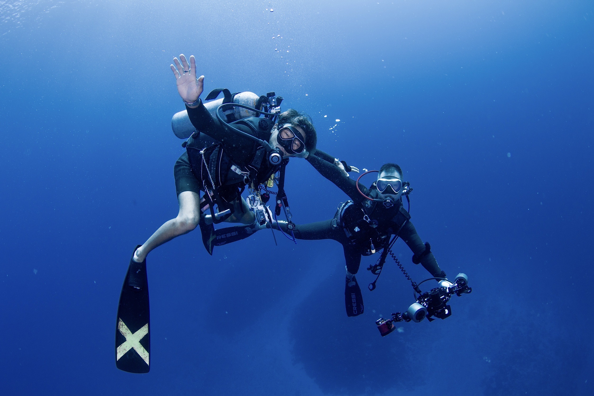 慶良間外洋 下曽根惨敗 – Dive Focus :: 沖縄でのダイビングならフォーカスへ