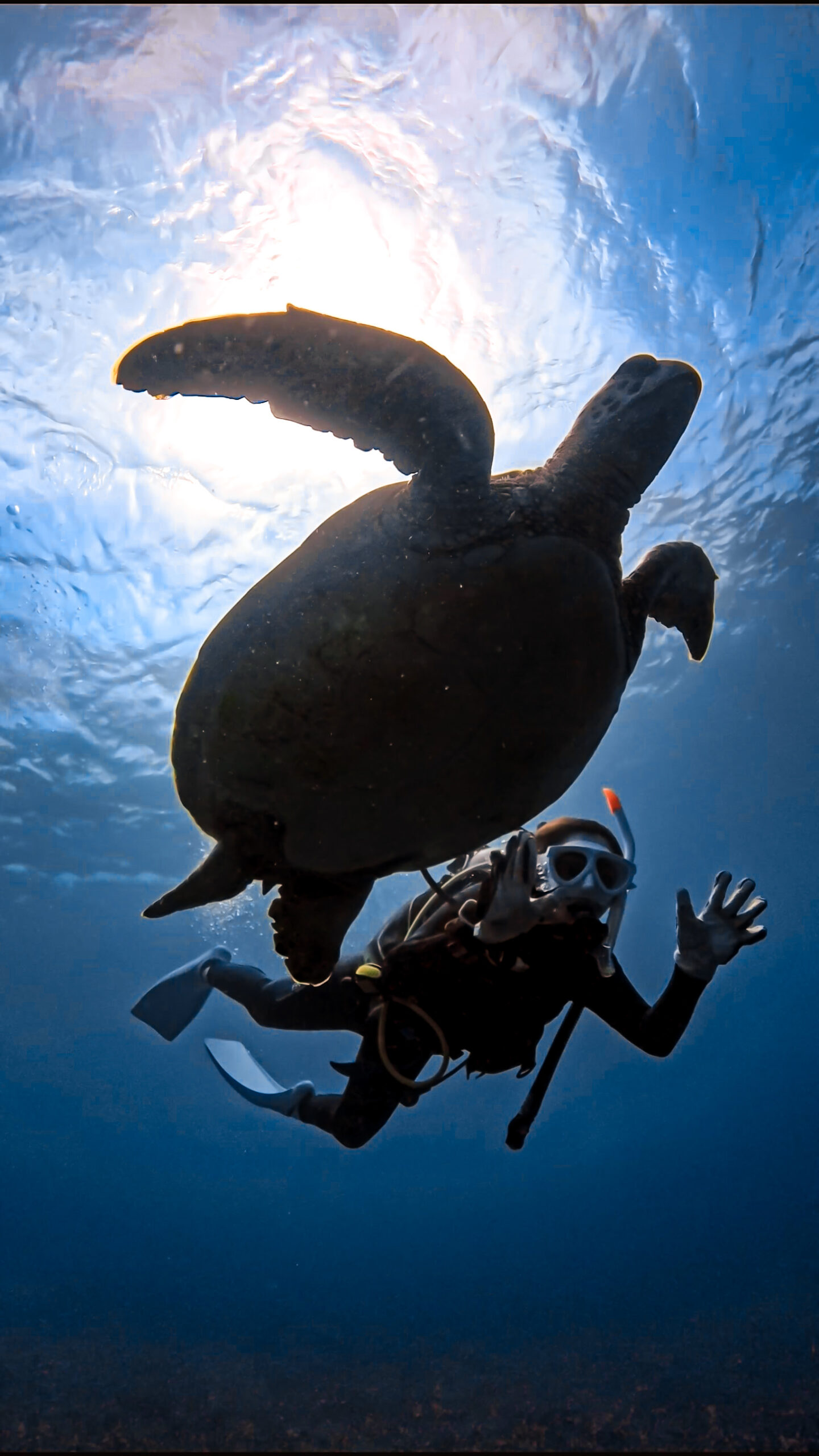 慶良間でOW講習！ – Dive Focus :: 沖縄でのダイビングならフォーカスへ