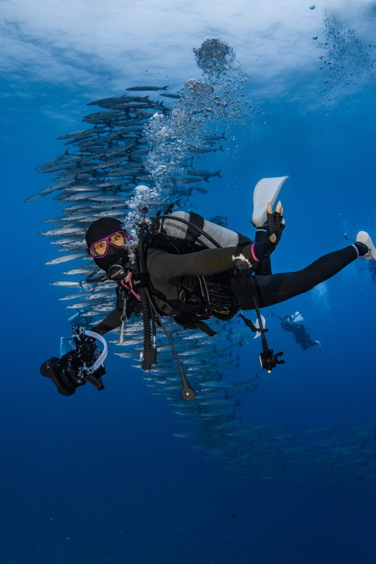 トライアングル23日目 – Dive Focus :: 沖縄でのダイビングならフォーカスへ