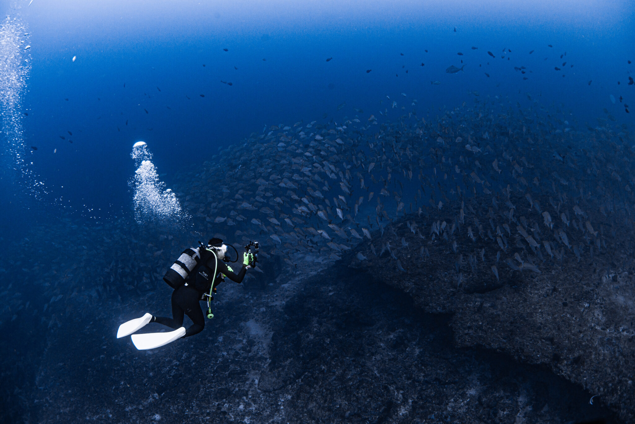 トライアングル25日目 – Dive Focus :: 沖縄でのダイビングならフォーカスへ