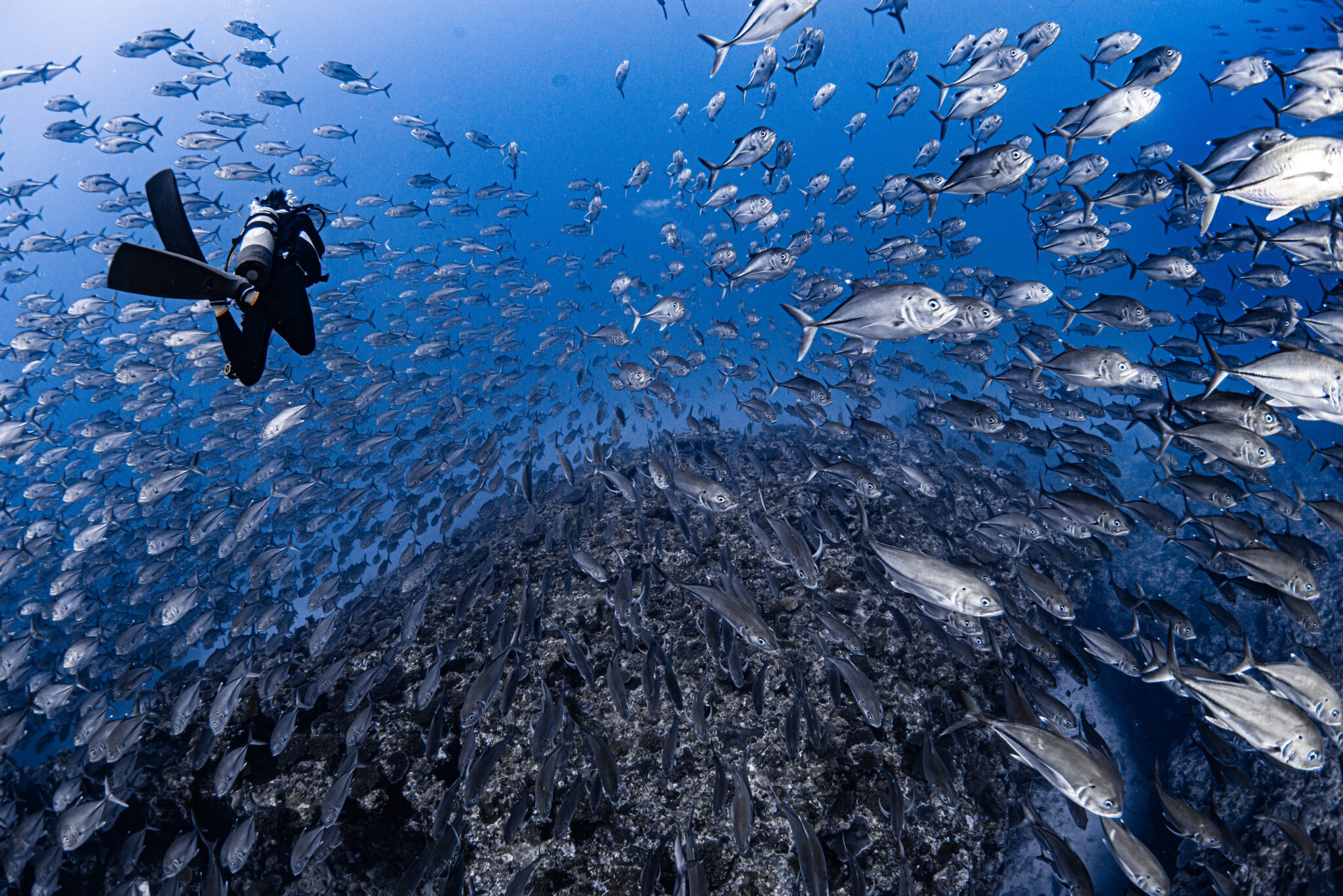 粟国遠征 3回目 – Dive Focus :: 沖縄でのダイビングならフォーカスへ