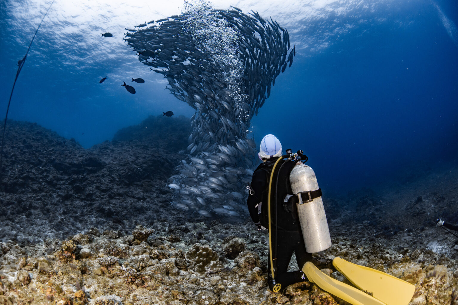 粟国遠征 6回目 – Dive Focus :: 沖縄でのダイビングならフォーカスへ
