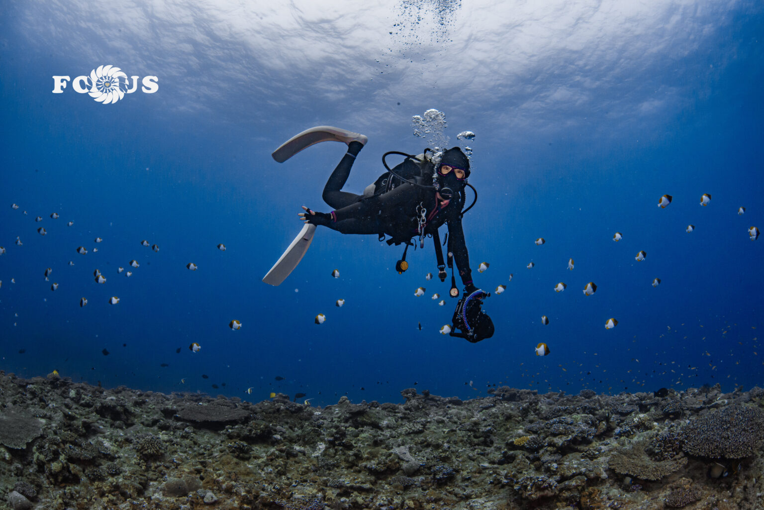 粟国遠征 7回目 – Dive Focus :: 沖縄でのダイビングならフォーカスへ