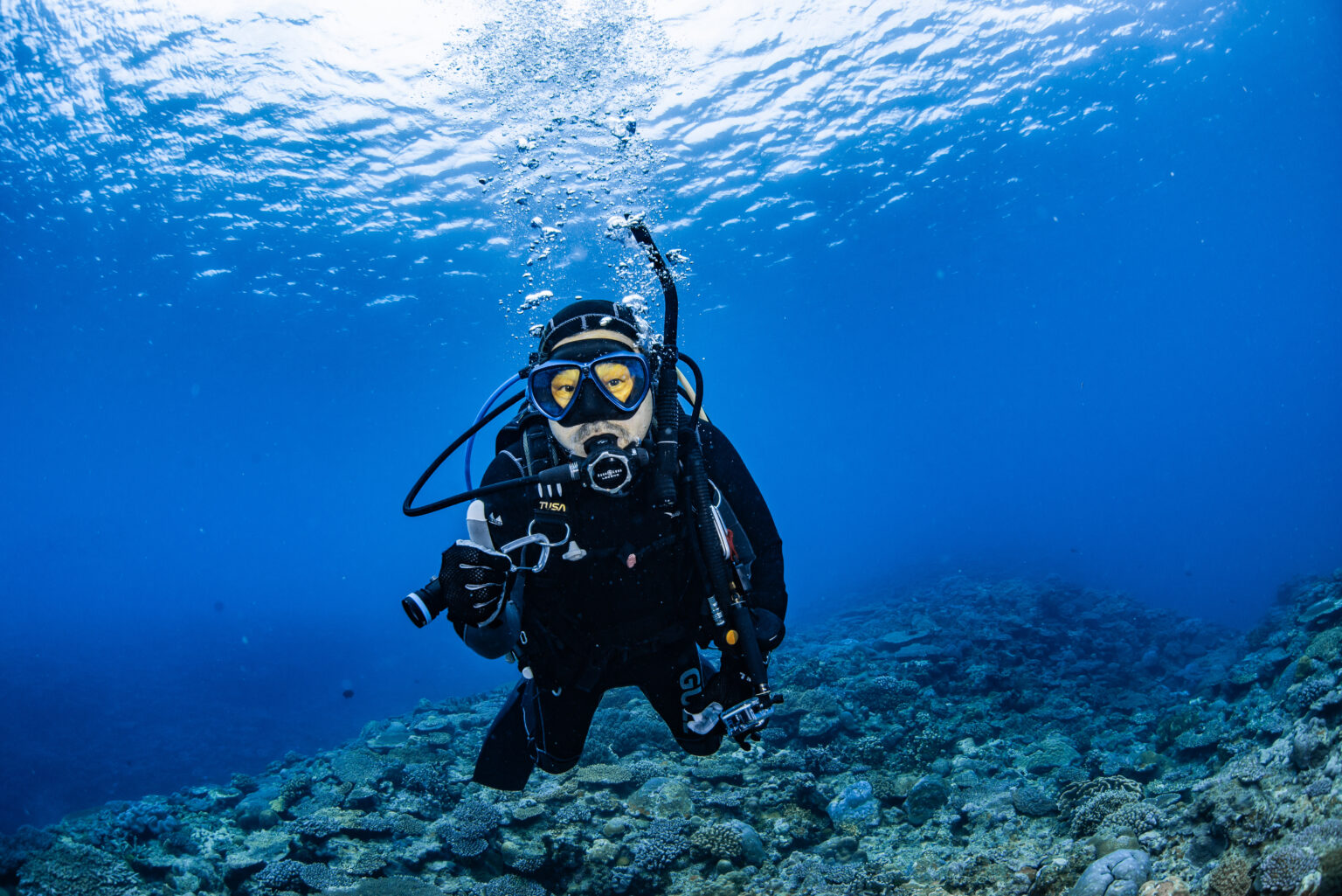 到着後ダイブ！ – Dive Focus :: 沖縄でのダイビングならフォーカスへ