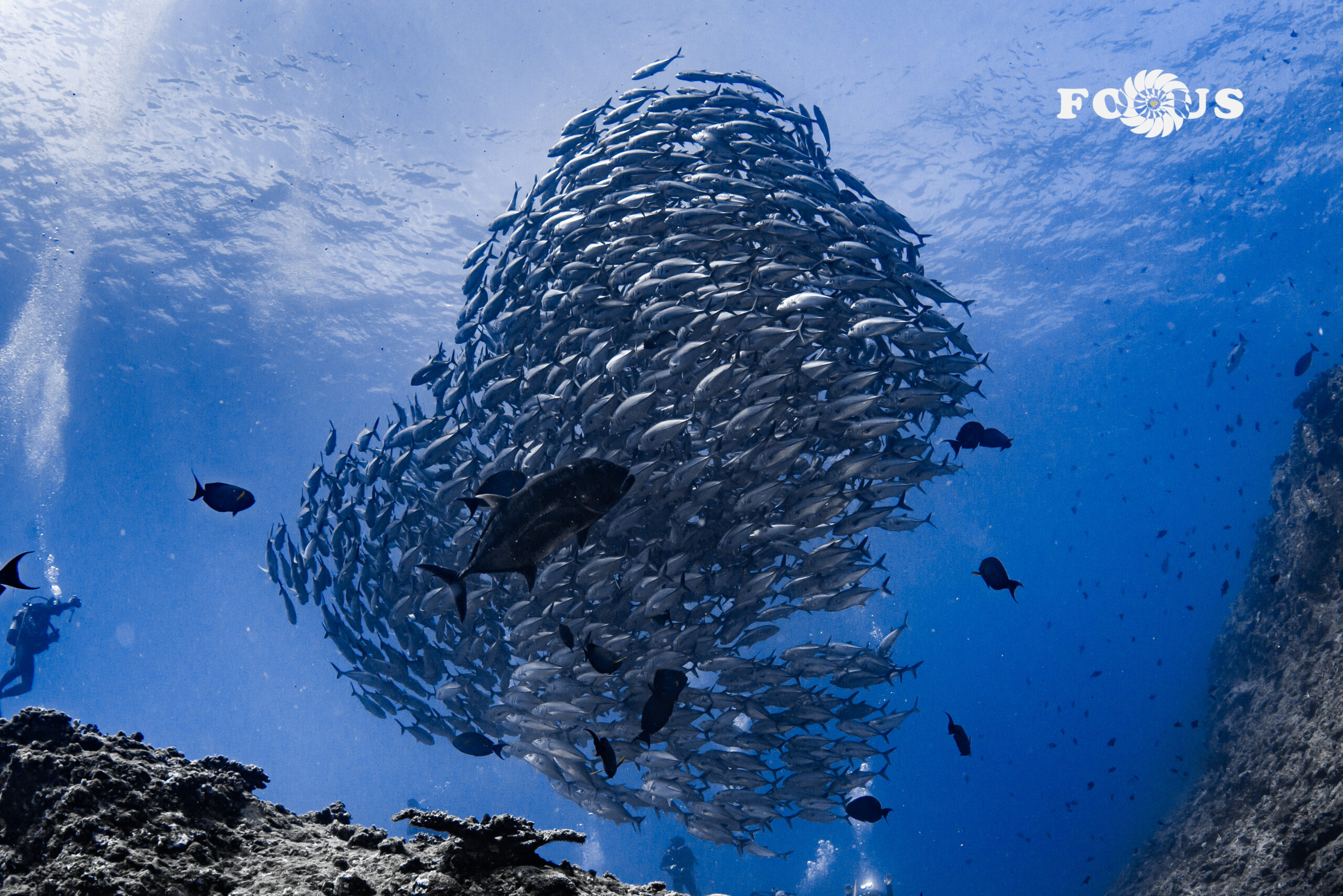 粟国遠征 18回目 – Dive Focus :: 沖縄でのダイビングならフォーカスへ