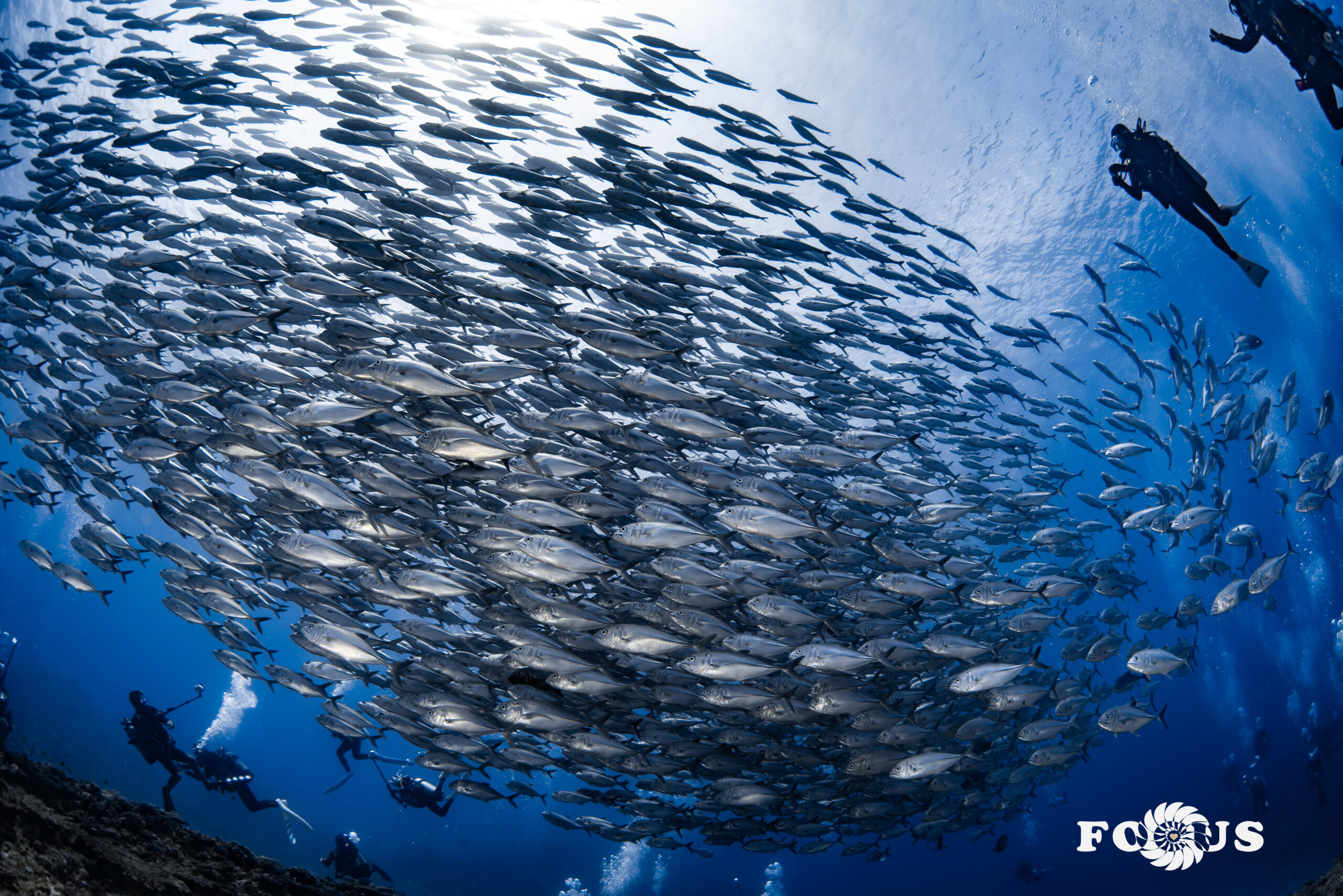 粟国遠征 15回目 – Dive Focus :: 沖縄でのダイビングならフォーカスへ