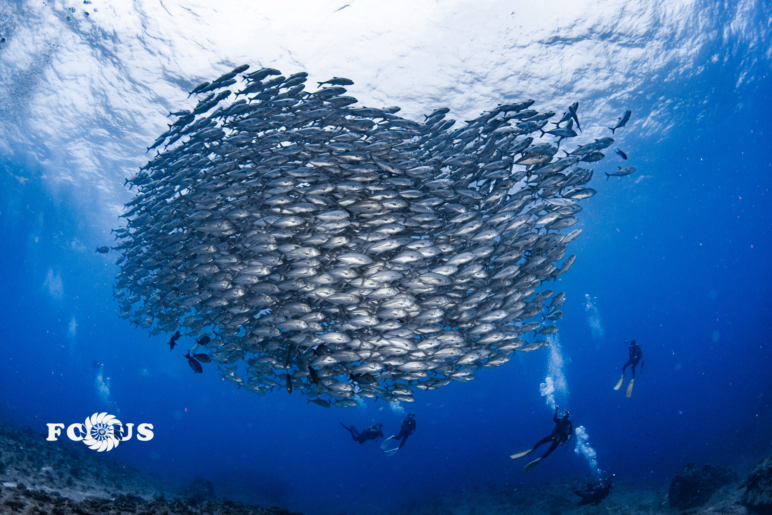 粟国遠征 17回目 – Dive Focus :: 沖縄でのダイビングならフォーカスへ