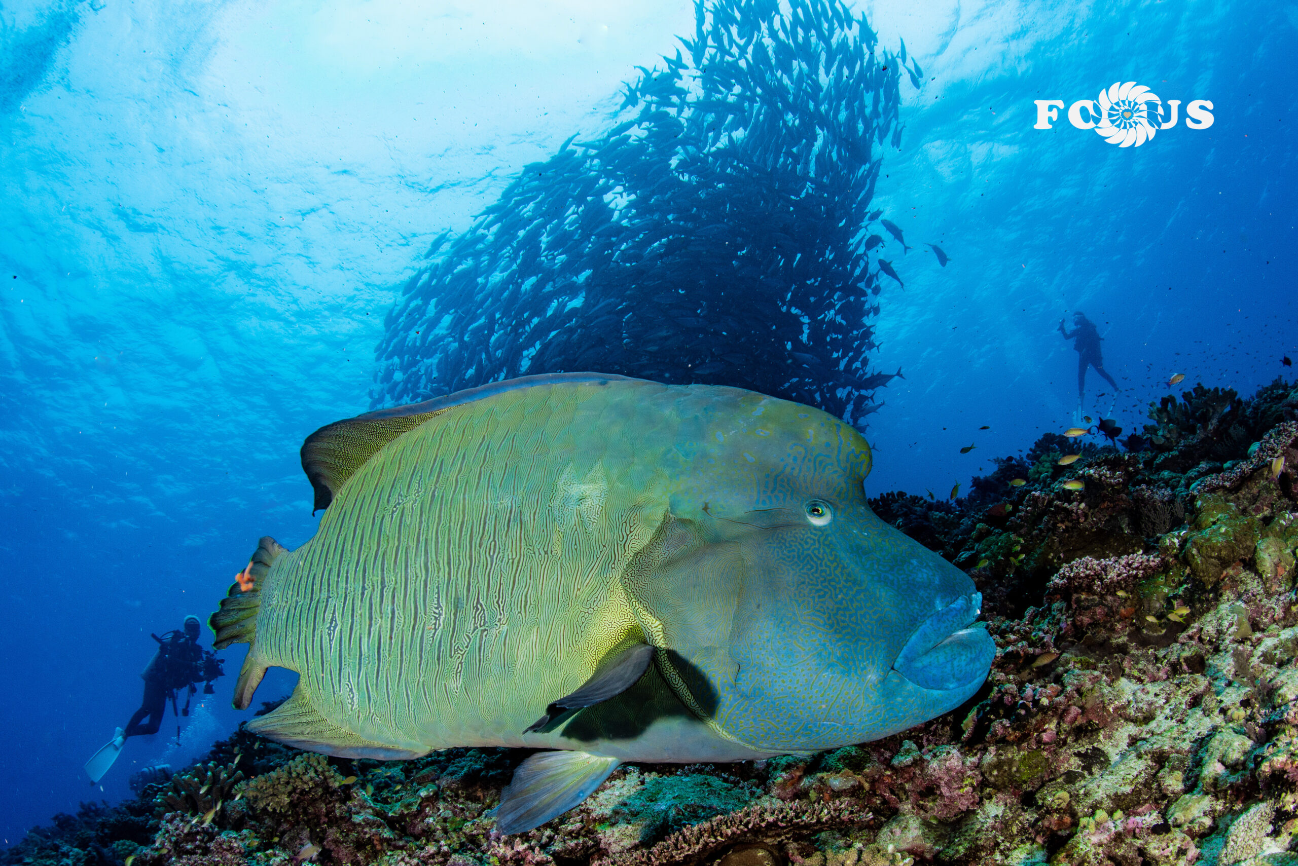 粟国遠征 13回目 – Dive Focus :: 沖縄でのダイビングならフォーカスへ