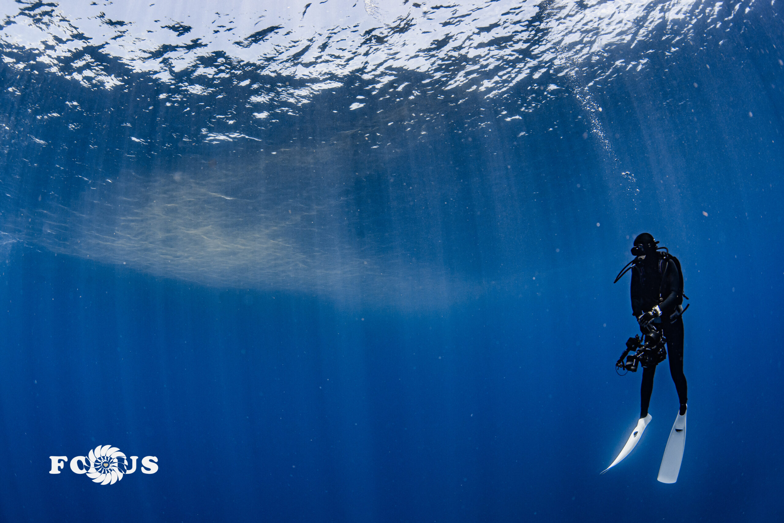 粟国遠征 8回目 – Dive Focus :: 沖縄でのダイビングならフォーカスへ