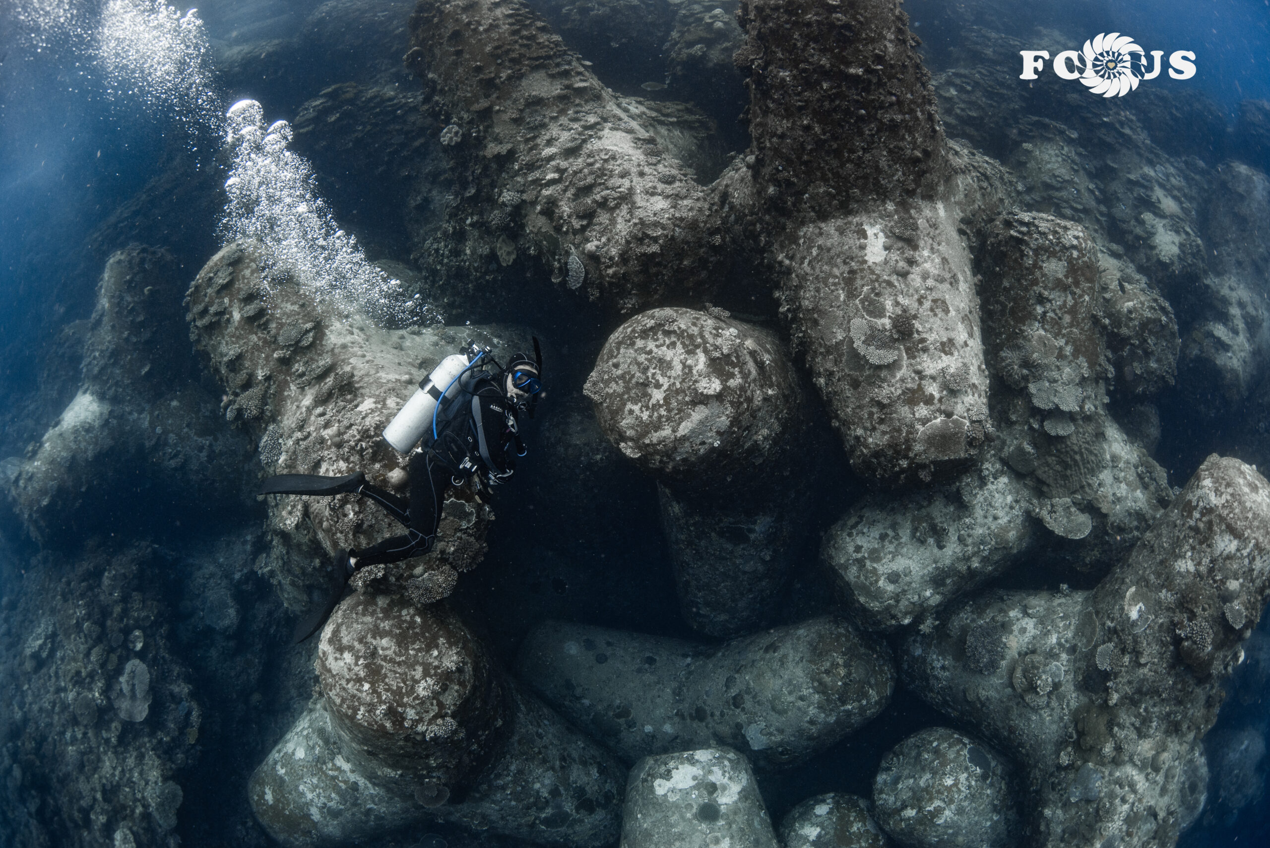 到着後ダイブ！ – Dive Focus :: 沖縄でのダイビングならフォーカスへ