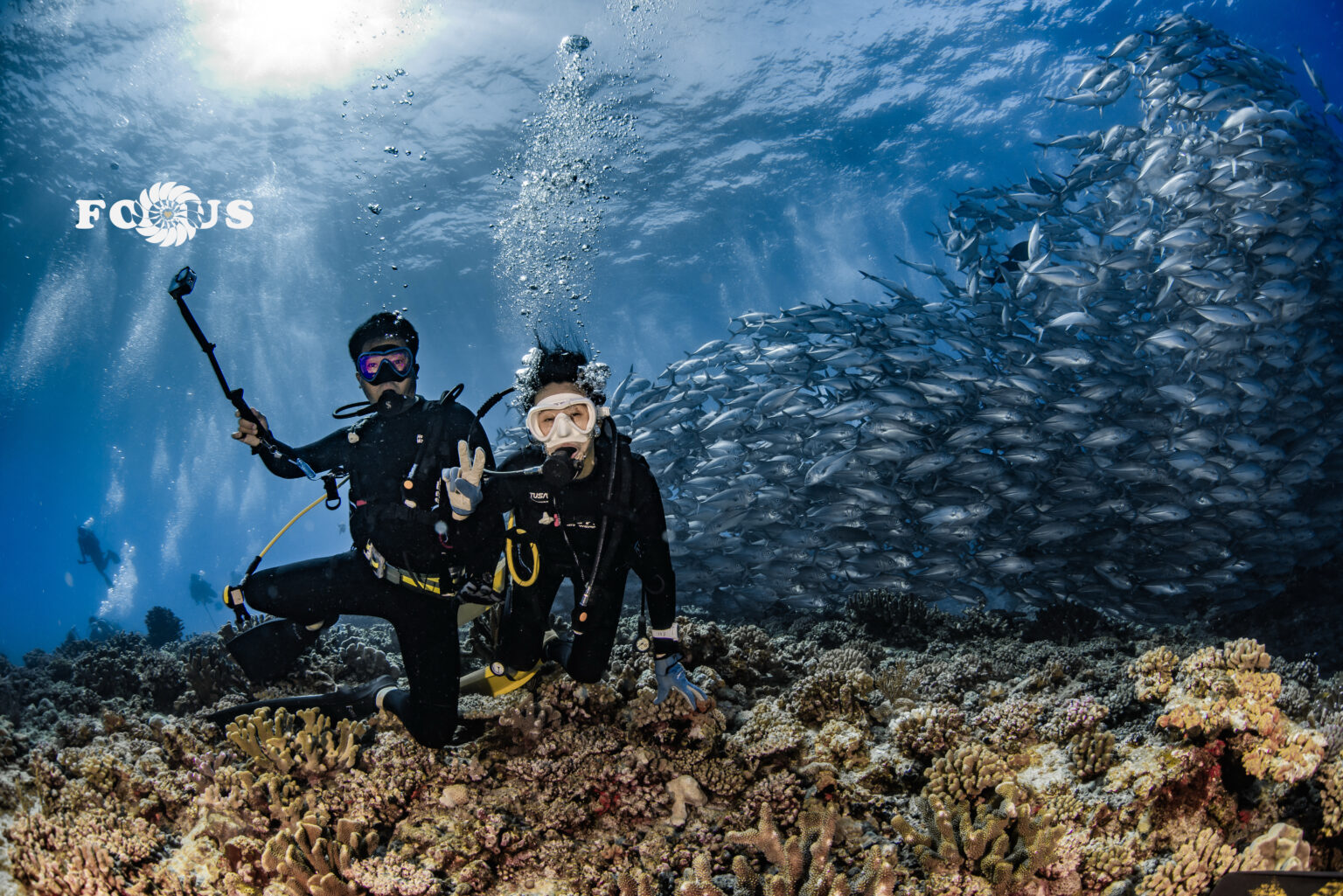 海ブログ – Dive Focus :: 沖縄でのダイビングならフォーカスへ