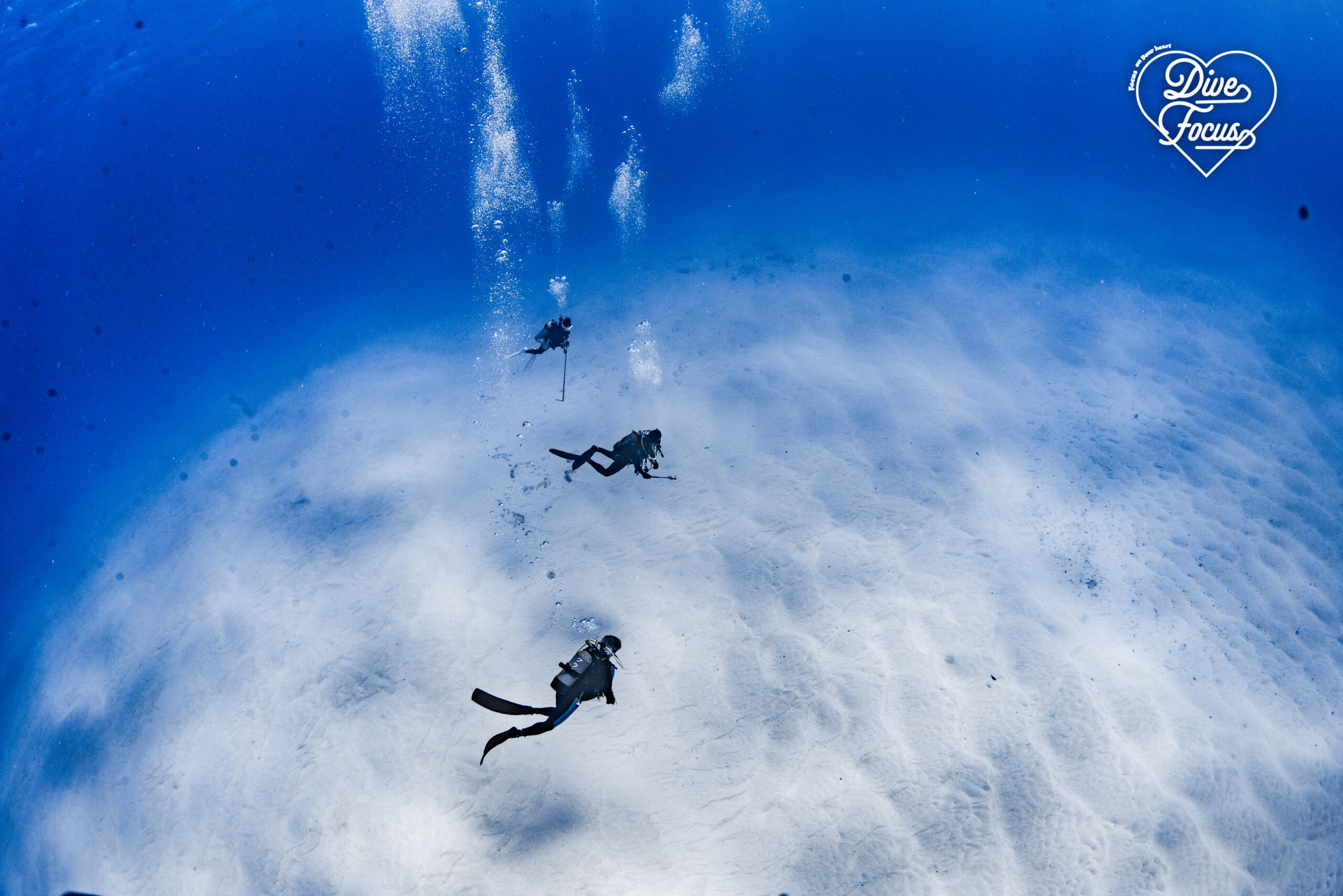 慶良間外洋 下曽根1本勝負 – Dive Focus :: 沖縄でのダイビングならフォーカスへ